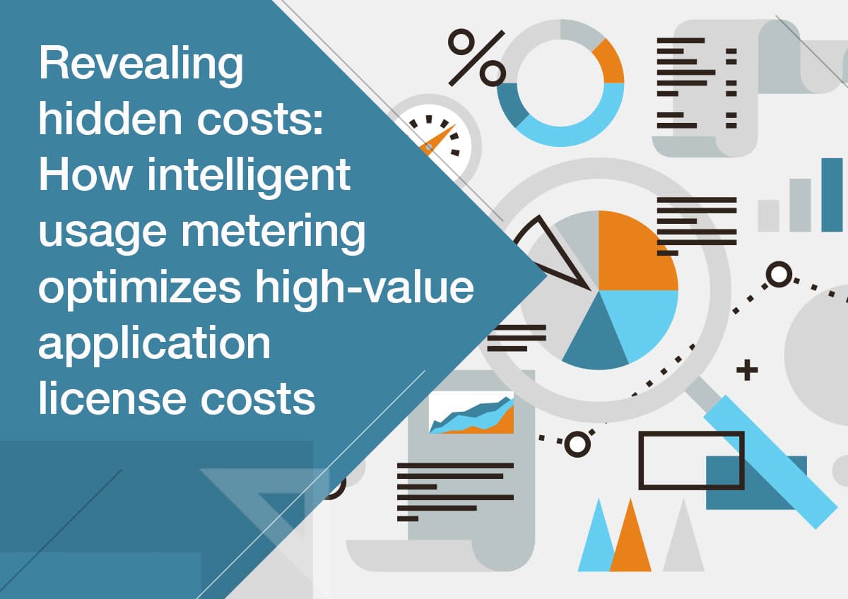 Revealing Hidden Costs: How Intelligent Usage Metering Optimizes High ...
